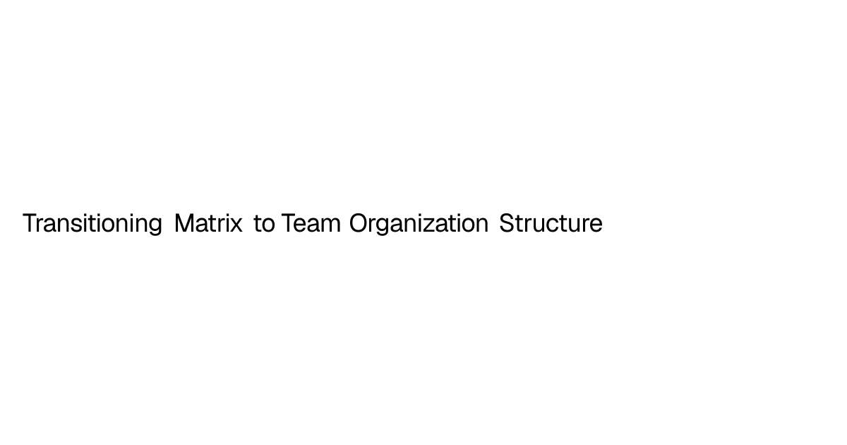 Transitioning Matrix to Team Organization Structure | Duri Chitayat